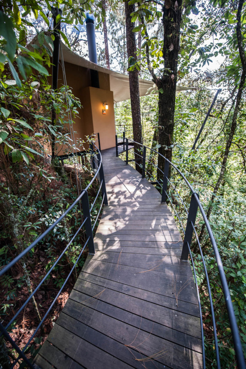 HATCH MEXICO || RODAVENTO - HATCH