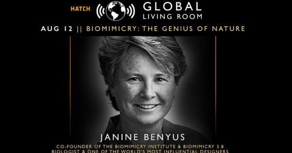 Biomimicry & The Genius Design of Nature | Global Living Room - HATCH